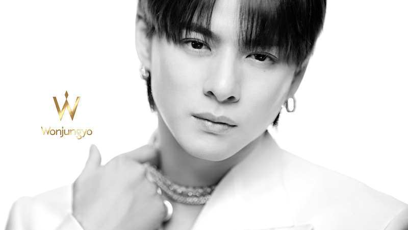 Wonjungyo Hair Movie / CD / 平野紫耀 - RECENT WORKS | W inc.